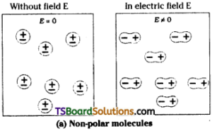 TS Inter 2nd Year Physics Study Material Chapter 5 Electrostatic ...