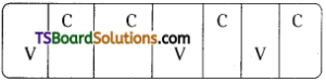 TS Inter Second Year Maths 2A Permutations and Combinations Important Questions Short Answer ...