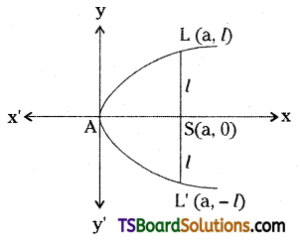 TS Inter Second Year Maths 2B Parabola Important Questions Very Short ...