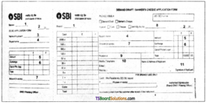 TS Inter 2nd Year English Grammar Filling in Forms - TS Board Solutions