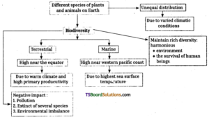 TS Inter 2nd Year English Grammar Note Making - TS Board Solutions
