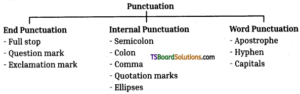 TS Inter 2nd Year English Grammar Punctuation - TS Board Solutions